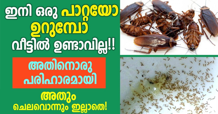 patta-urumb - Classic Movies