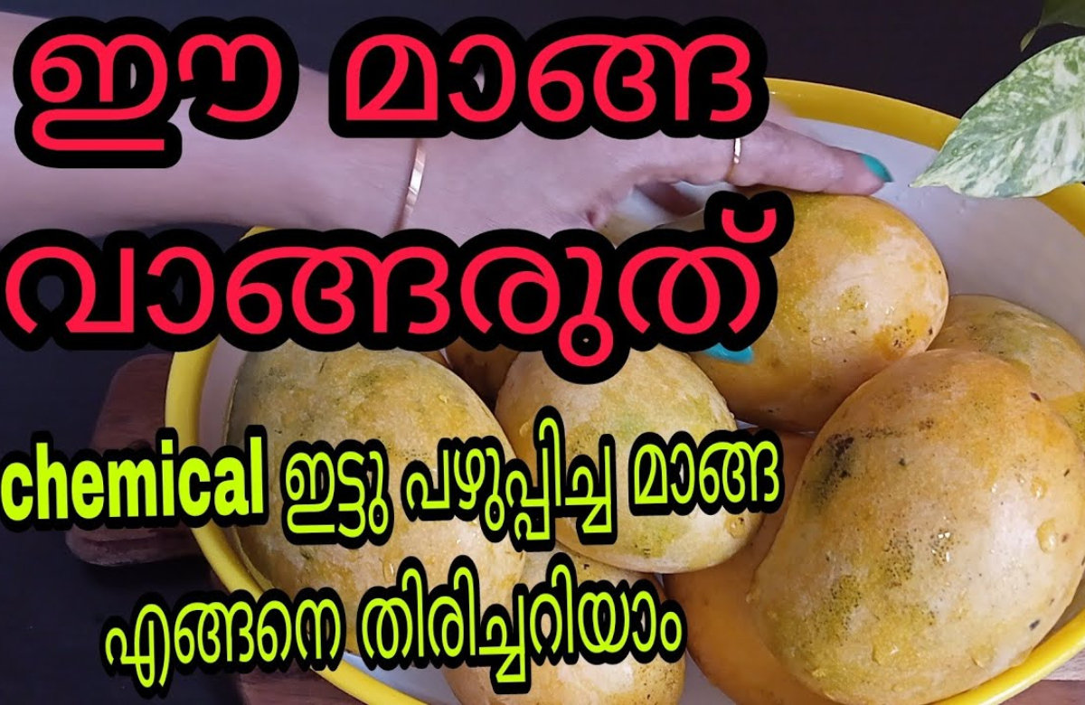 Easy Tip To find Chemical Mango - Classic Movies